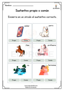 Ejercicios de sustantivos propios y comunes