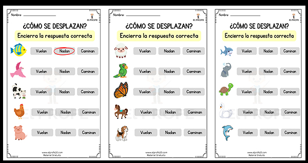 Actividades de animales según su desplazamiento